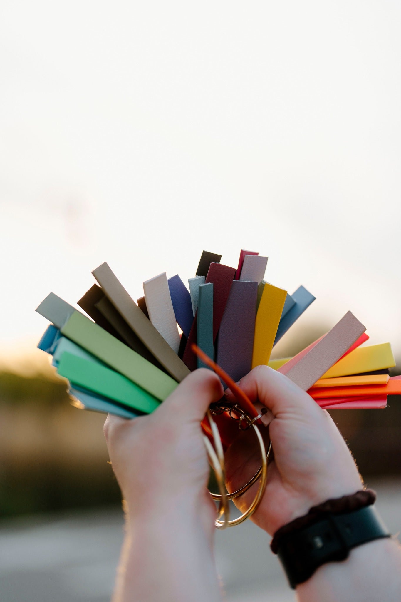 Biothane Sample Colours – Top Dog Gear