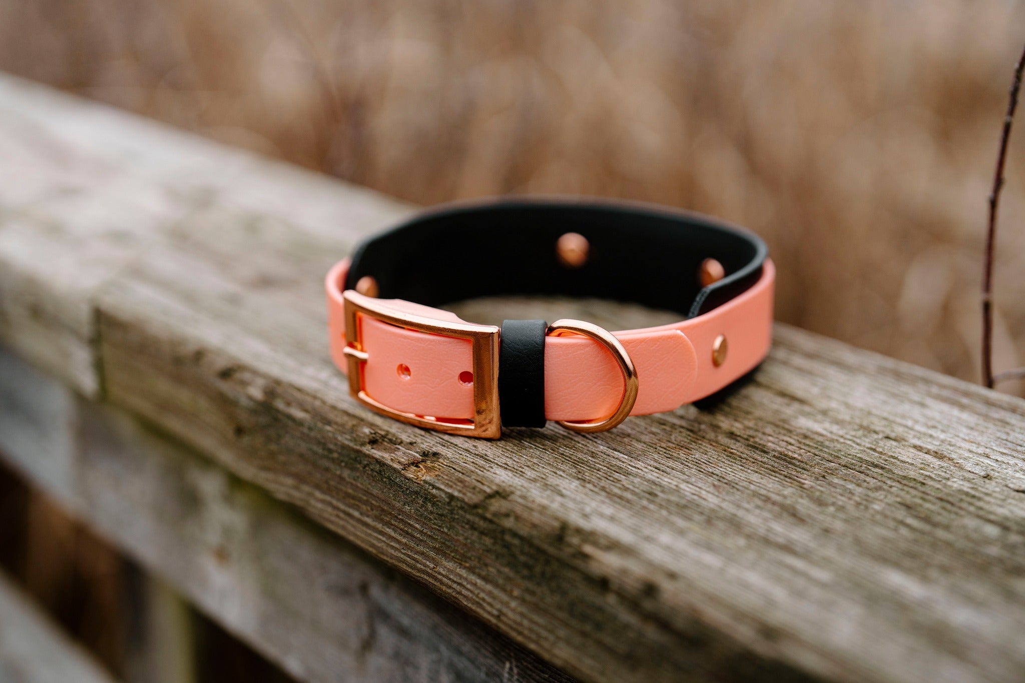 Layered Collar – Top Dog Gear